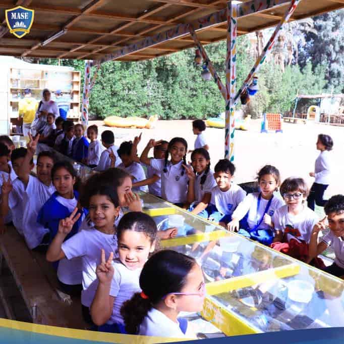 Modern American School of Egypt - MASE - International Schools in Egypt